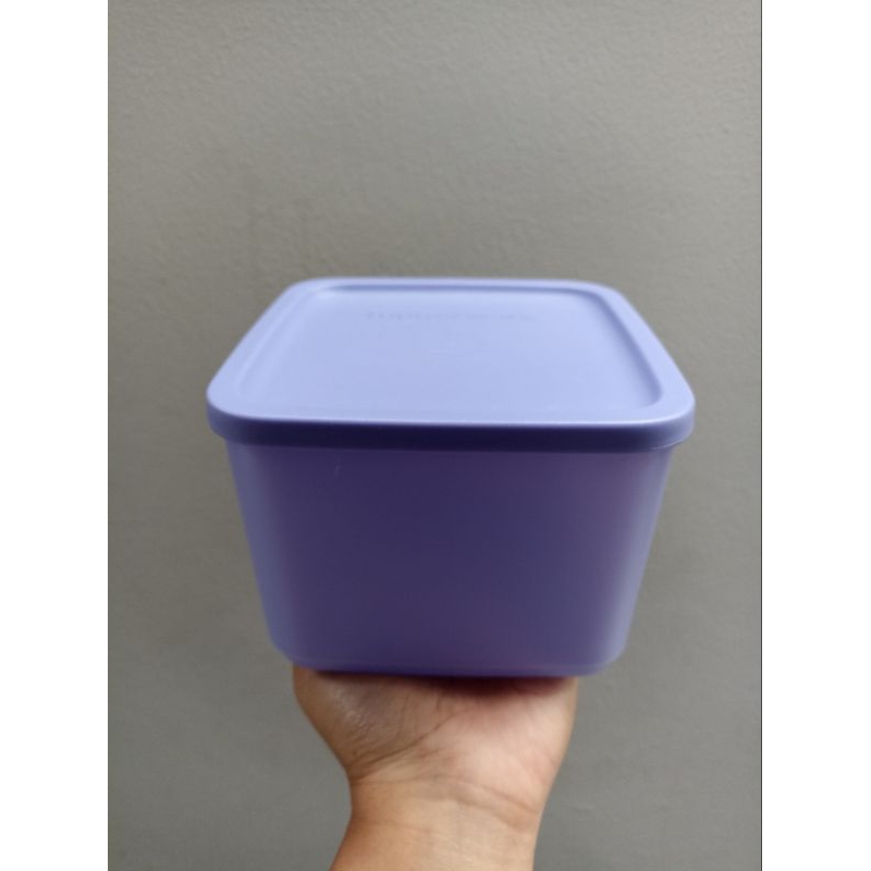 Jual medium summer ecer tupperware / toples kotak | Shopee Indonesia