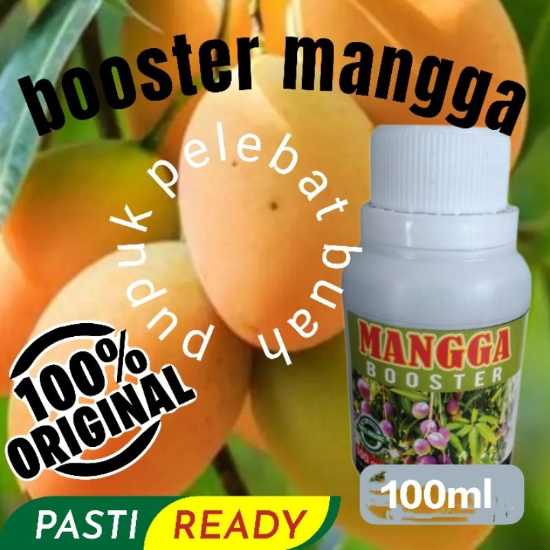 Jual Pupuk Booster Mangga cair 100ml Pelebat Buah Terbaik Semprot dan Siram | Shopee Indonesia