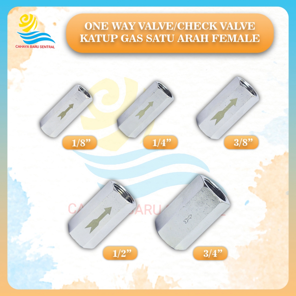 Jual Check Valve Angin 1/2 Inch No Return Valve 1/4" Female Thread ...