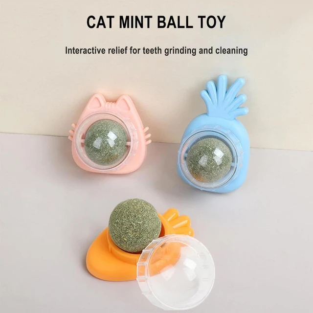 Jual CATNIP BALL Tempel Putar Kucing / Mainan Bola Catnip / CATMINT ... Jual CATNIP BALL Tempel Putar Kucing / Mainan Bola Catnip / CATMINT ...