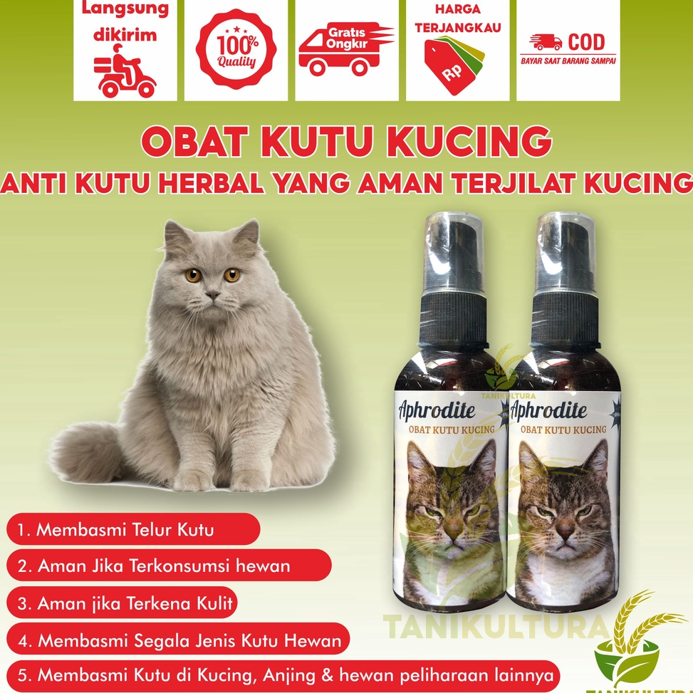 Jual CZCT2649 Obat Kutu Kucing Spray Ampuh Mengatasi Kutu Dan Telur ...