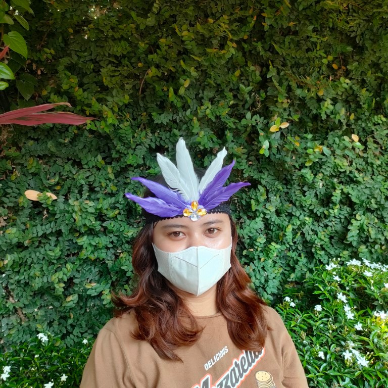 Jual Bando Hiasan Kepala Bulu Angsa untuk Tari dan Karnaval, Bandana ...