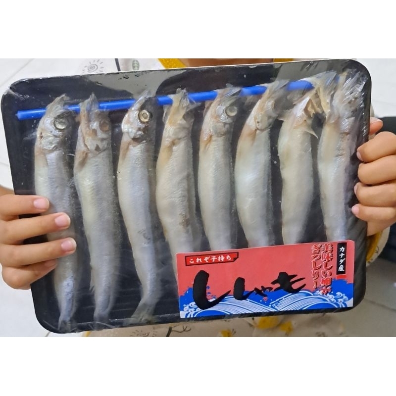 Jual ikan shisamo/ikan viral/ikan cipung/ikan segar | Shopee Indonesia