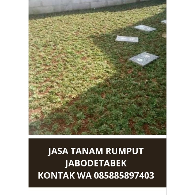 Jual Jasa Tanam Rumput Permeter Jabodetabek | Shopee Indonesia