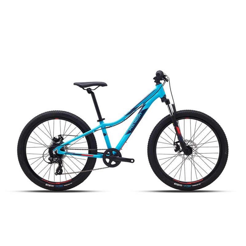 Jual Sepeda Gunung MTB Polygon 24 inch Relic | Shopee Indonesia
