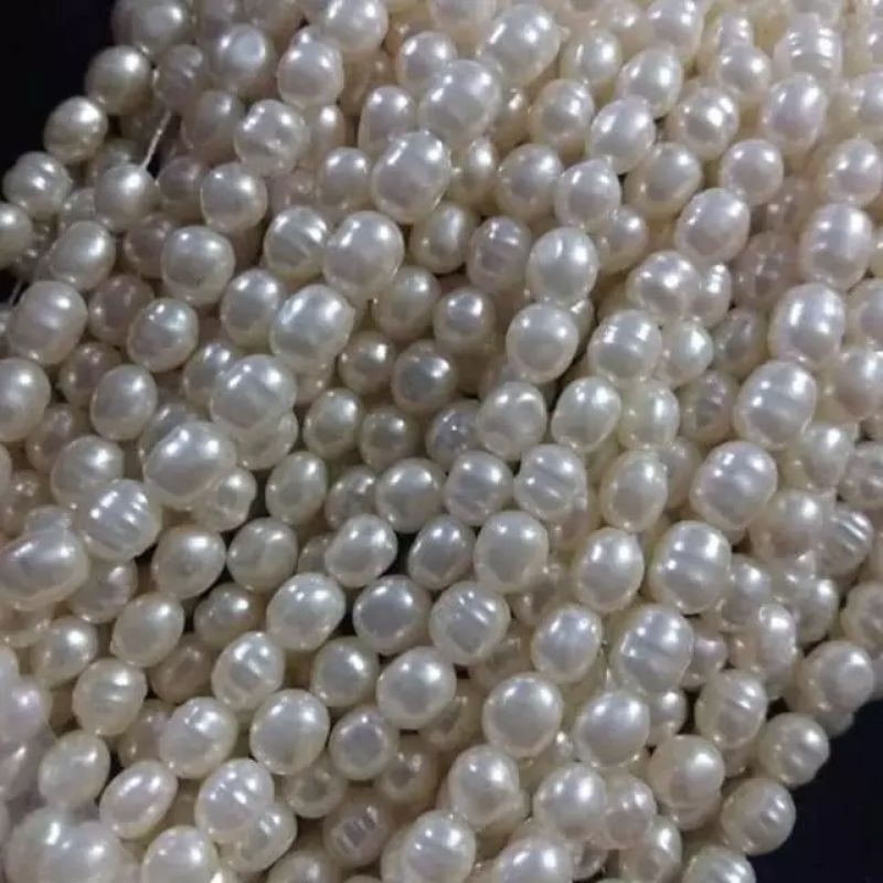 Jual 1 PON mutiara tawar RINGAN (plastik) | Shopee Indonesia
