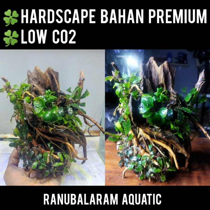 Jual HARDSCAPE LOW CO 2 BAHAN PREMIUM COCOK UNTUK AA QUARIUM 30CM KE ...