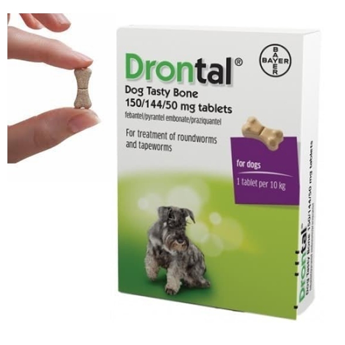 Jual Obat Cacing Anjing DRONTAL Dog Tasty Bone 1 Tablets | Shopee Indonesia