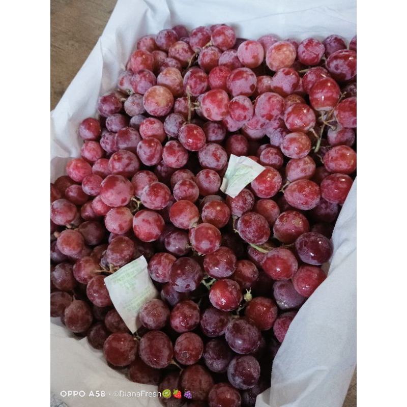 Jual Red Grapes china 1kg(baca deskripsi produk) | Shopee Indonesia
