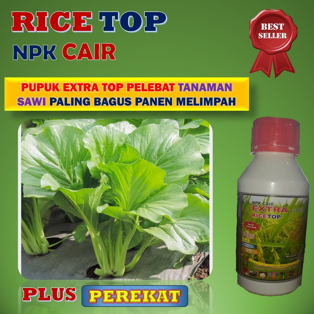 Jual (Terbukti ampuh) Pupuk sawi/Caisim/caisin/sosin/sawi bakso/sawi ...