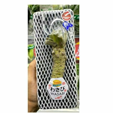 Jual Wasabi Fresh Batang Utuh | Wasabi Batang Fresh | Pack | Shopee ...