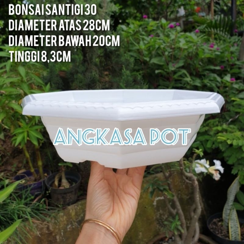 Jual Pot bunga plastik Bonsai SANTIGI 30 Pot bulat Pot ceper Pot murah ...
