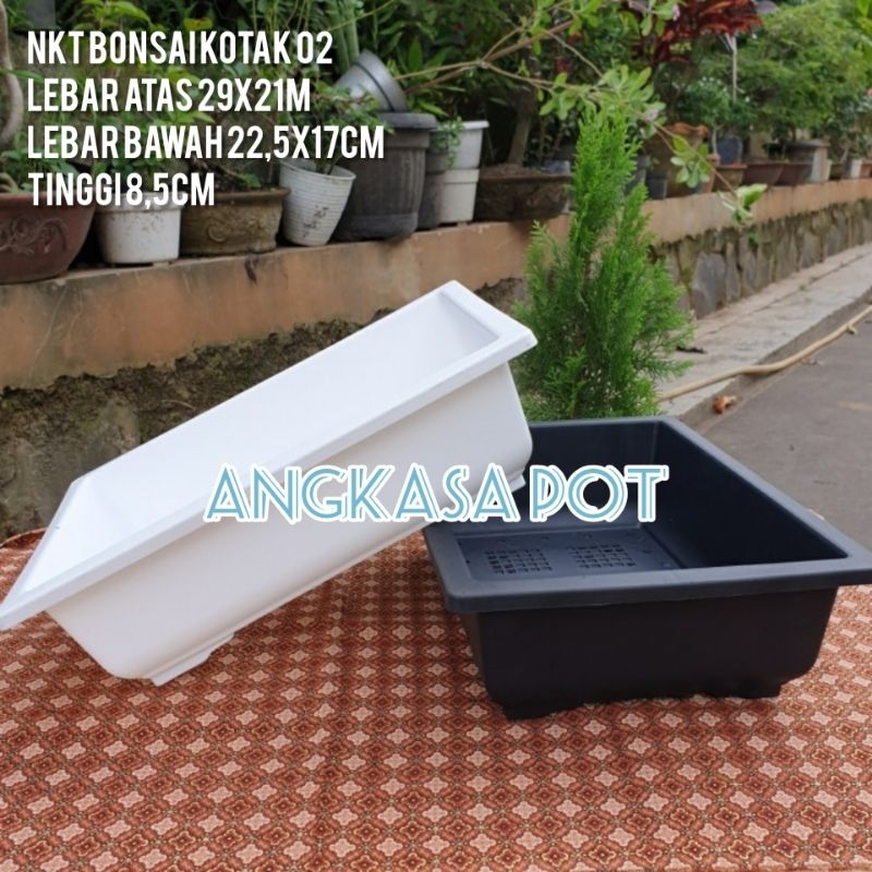 Jual NKT BONSAI KOTAK 02 (29cm* 21cm) - KOTAK 01 22cm*16cm) pot bunga ...