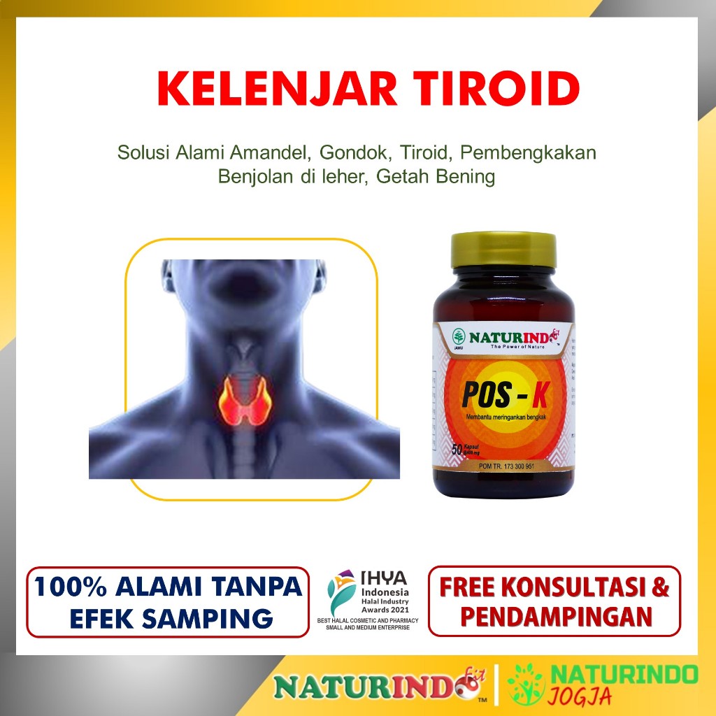 Jual Obat Pos K Naturindo Tiroid Kelenjar Hipertiroid Benjolan Di Leher ...