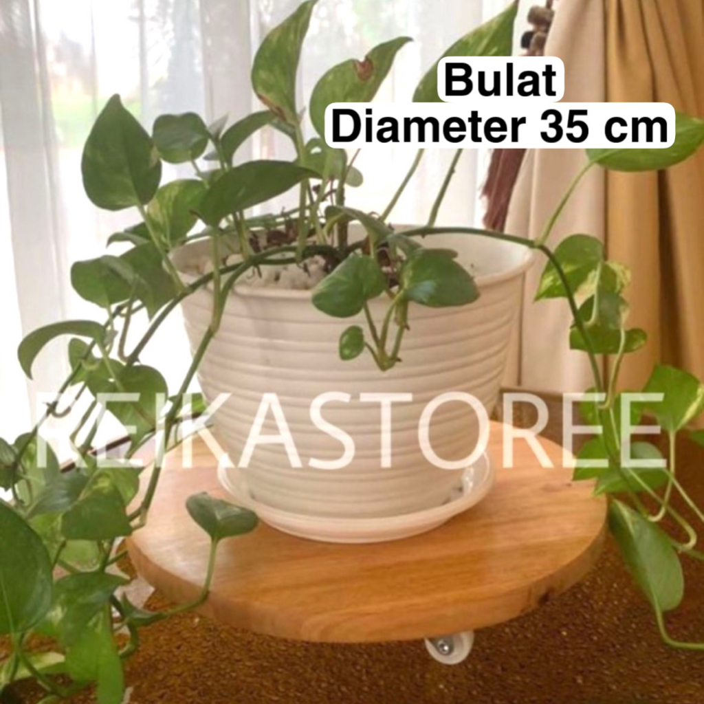 Jual Tatakan alas pot kayu roda putih EXPORT QUALITY tipe Solid ...