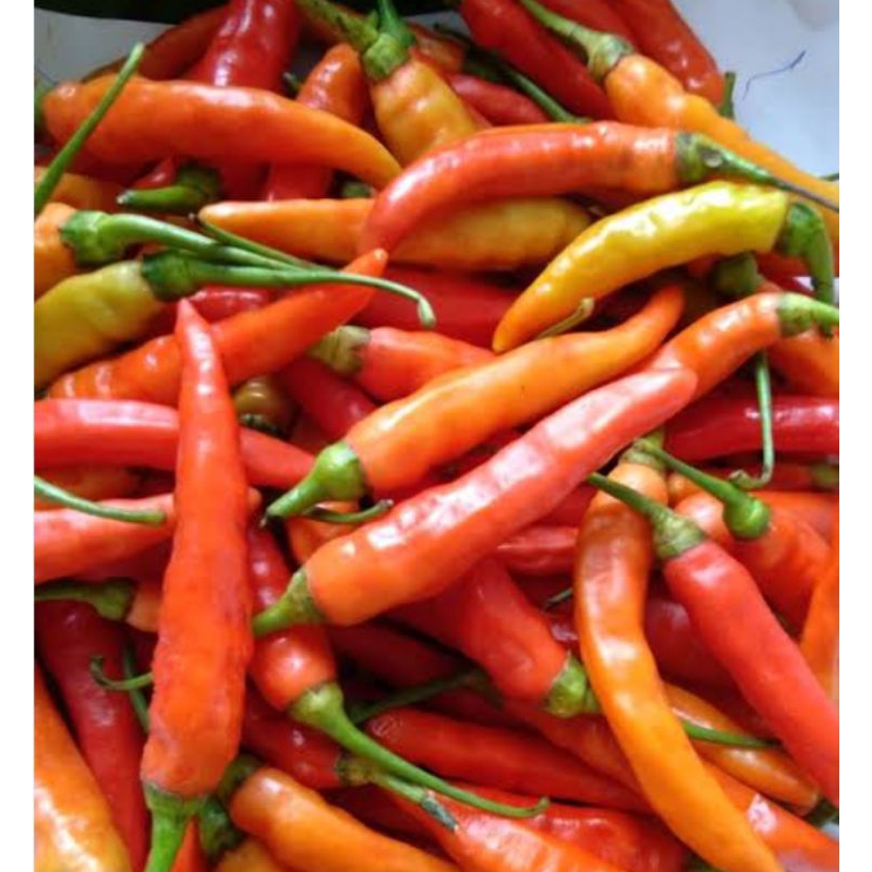 Jual cabe rawit setan per pack 120 gram | Shopee Indonesia