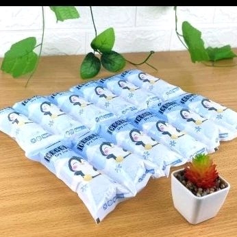 Jual Ice Pack Thermafreeze / Ice Gel Lembaran Pengganti Dry Ice / Ice ...