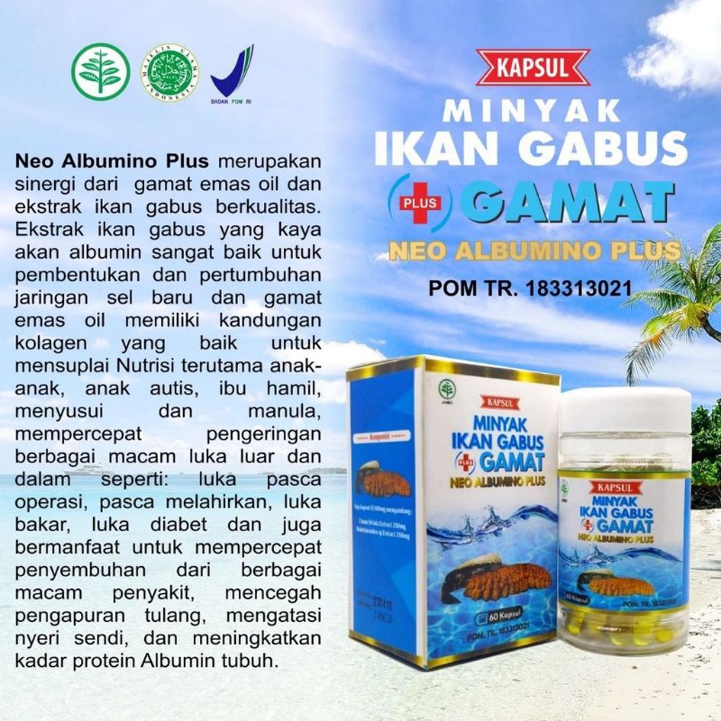Jual Minyak Ikan Gabus Plus Gamat NEO ALBUMINO PLUS 60 KAPSUL | Shopee Indonesia