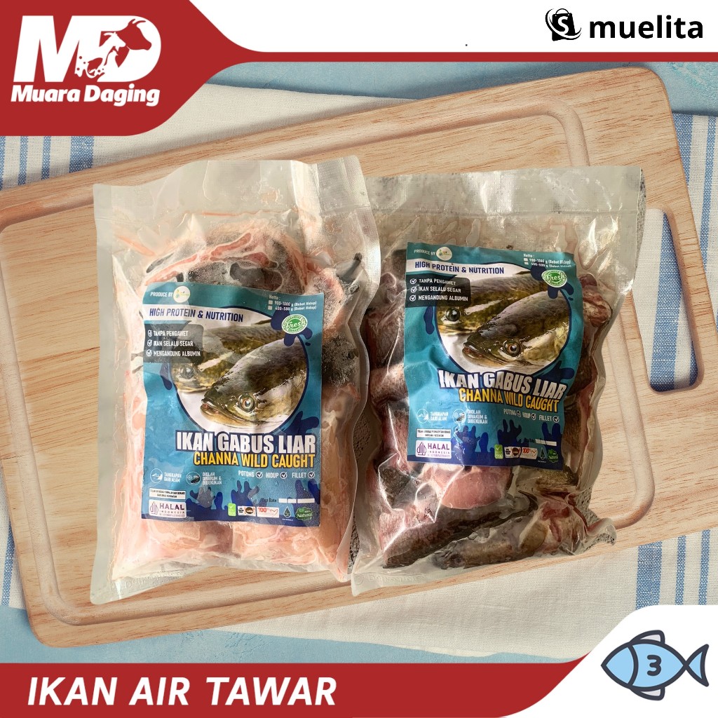 Jual Ikan Gabus Liar Pure Organic - BERASAL DARI ALAM, DIOLAH SECARA ... Jual Ikan Gabus Liar Pure Organic - BERASAL DARI ALAM, DIOLAH SECARA ...