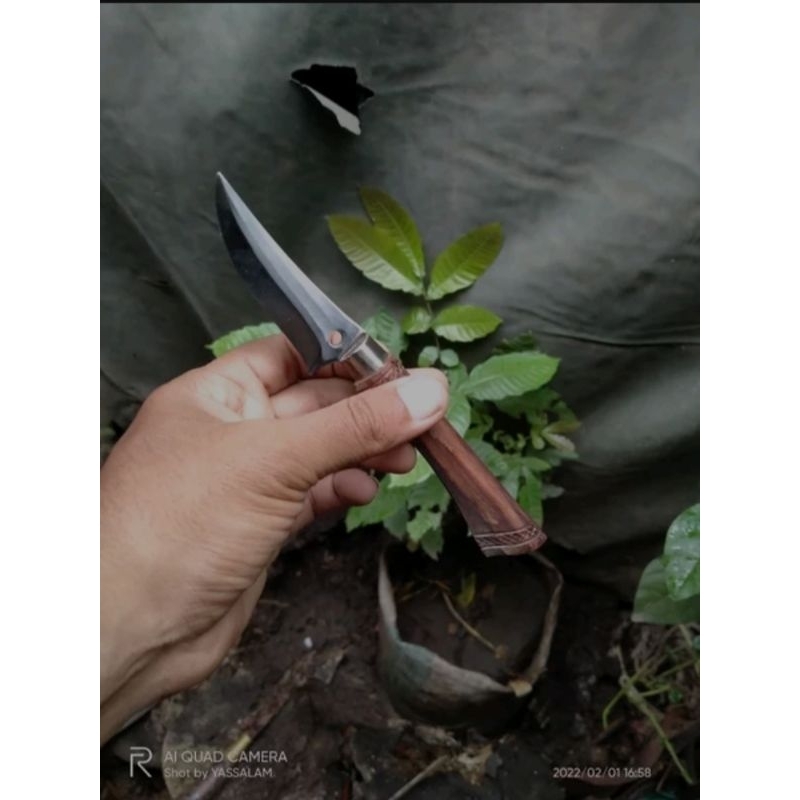 Jual pisau kecil pisau mini | Shopee Indonesia