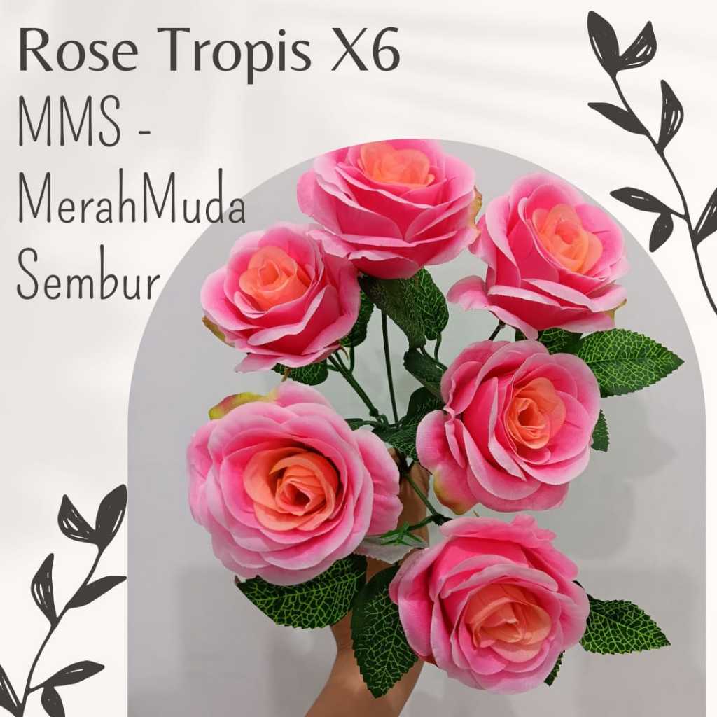 Jual Bunga Mawar Rose Tropis Cabang 6 / Ecer RT6 | Shopee Indonesia