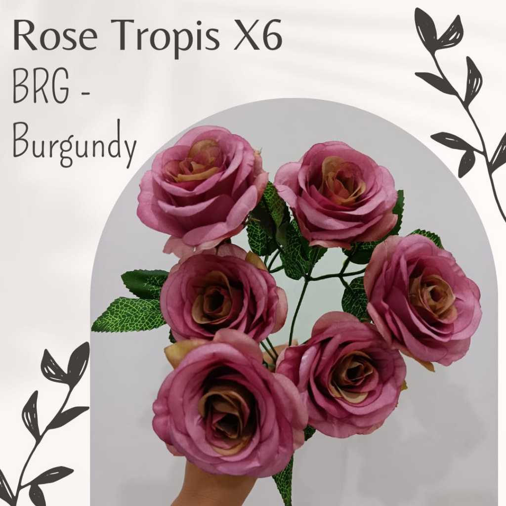 Jual Bunga Mawar Rose Tropis Cabang 6 / Ecer RT6 | Shopee Indonesia