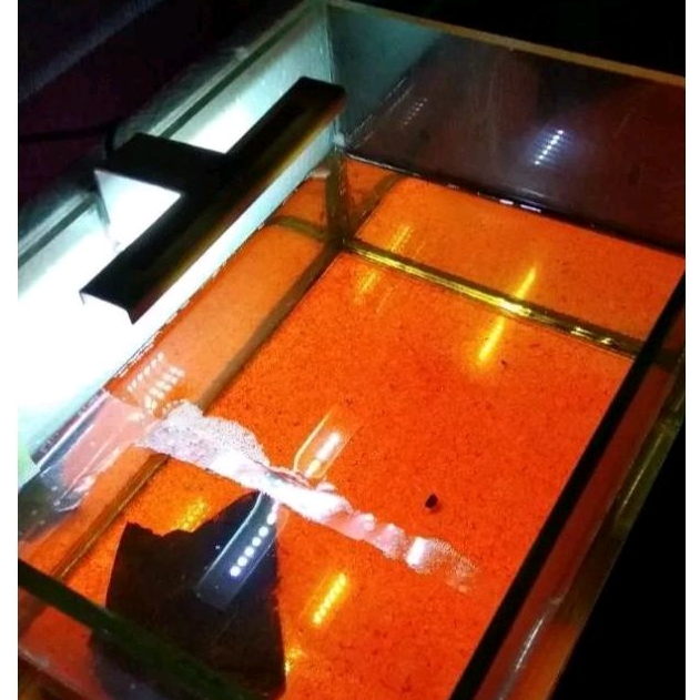 Jual LAMPU LED AQUASCAPE AQUARIUM TETRARIUM LED SOLITER AKUARIUM IKAN ...