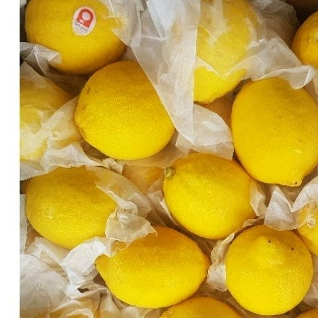 Jual Buah 1Kg Lemon RRC Premium, Buah Fresh Same Day Delivery Jogja ...
