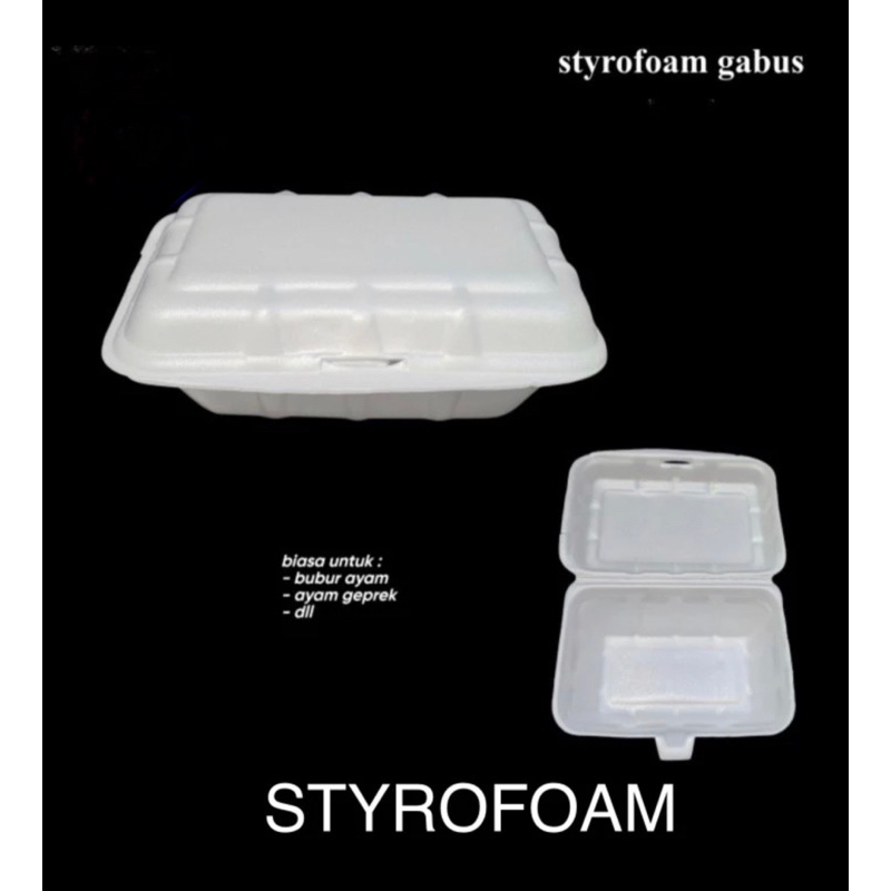 Jual Kotak Nasi Mie Jualan Styrofoam Foam Sterofoam Makanan 13x18x6 ...