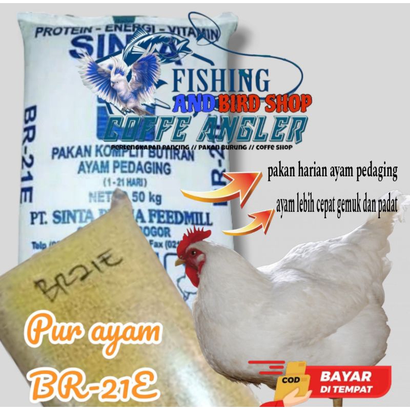 Jual pur ayam BR21E Pur kuning ayam pedaging 1kg | Shopee Indonesia
