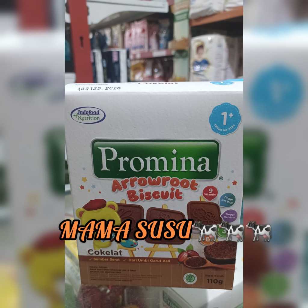 Jual PROMINA BISCUIT ANAK PROMINA ARROWROOT RASA COKELAT BISKUIT COKLAT ...