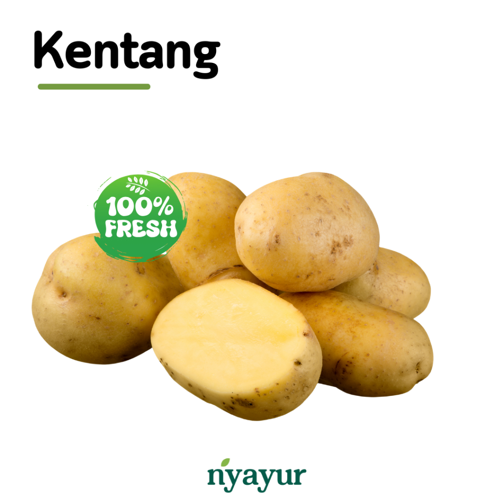 Jual KENTANG DIENG SEDANG | 500GR & 1 KG | | Shopee Indonesia