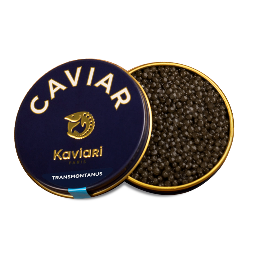 Jual Kaviari Transmontanus Caviar - 20 gr | Shopee Indonesia