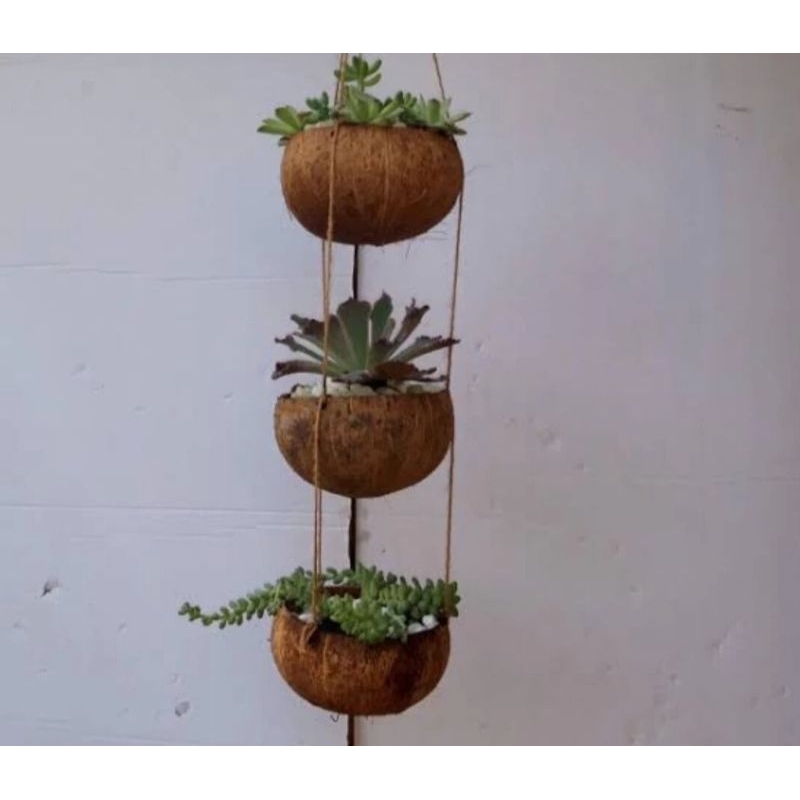 Jual pot bunga tiga susun, pot bunga murah, pot bunga unik, pot batok ...