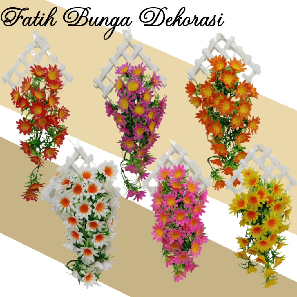 Jual Rambat Bunga Seruni/Tanaman Hias Bunga Seruni/Plus Wajik | Shopee ...