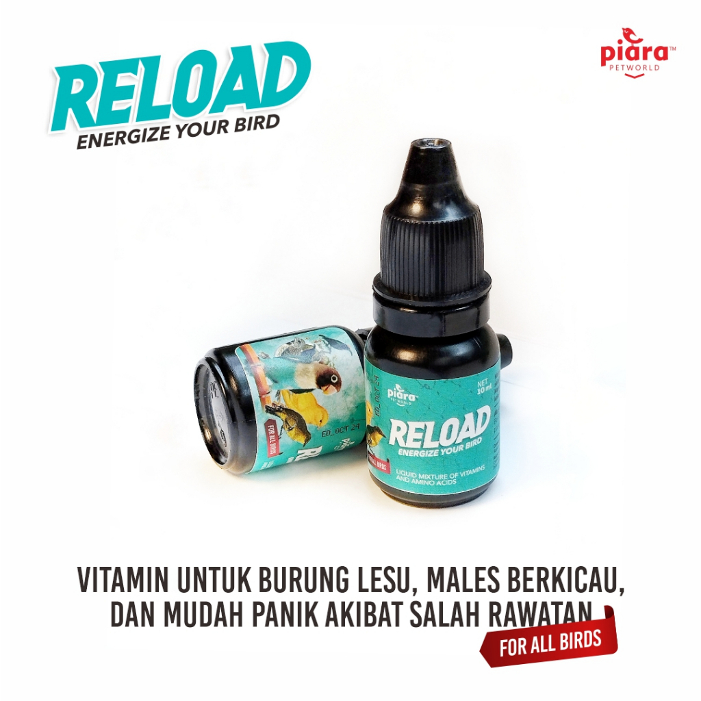 Jual RELOAD ENERGI VITAMIN SEMUA BURUNG | Shopee Indonesia