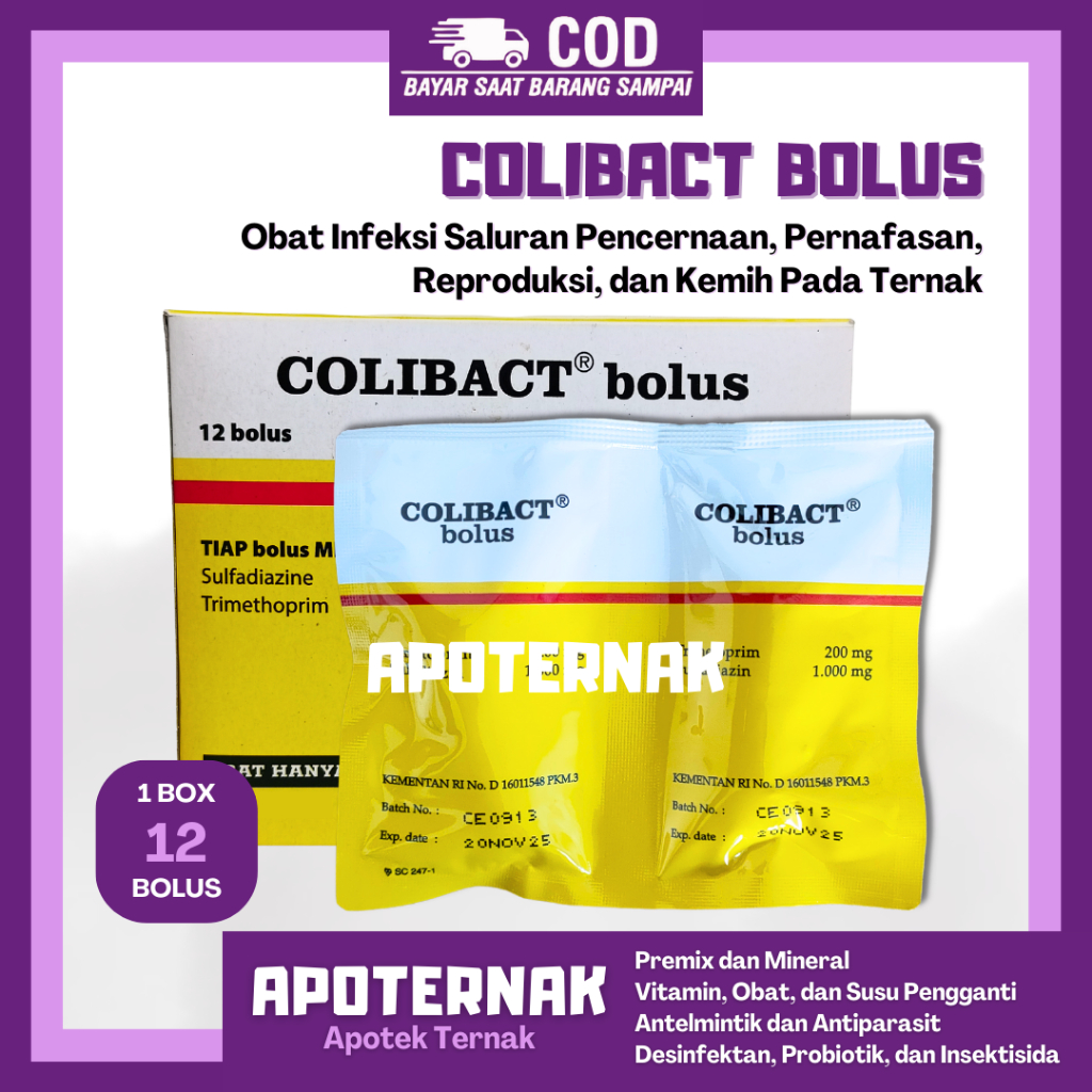 Jual COLIBACT BOLUS 12 Bolus 1 Box - Obat Antibiotik Hewan Diare Batuk ...
