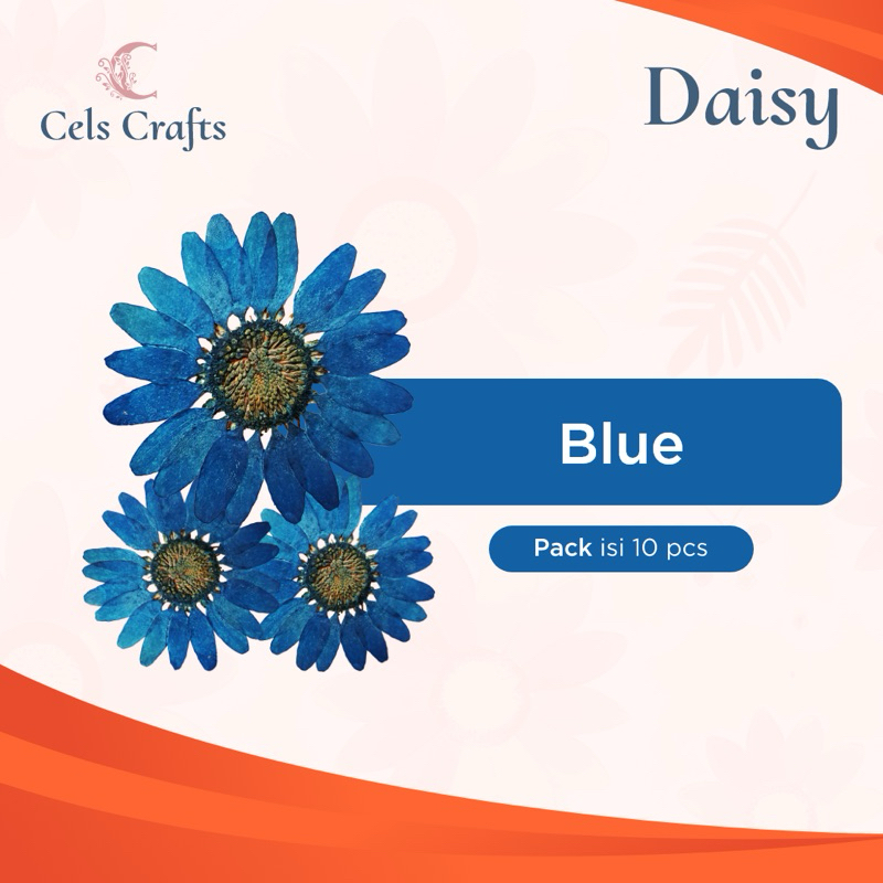 Jual [Pack] Pressed Flower Daisy - Bunga Daisy Kering Asli Warna Warni ...