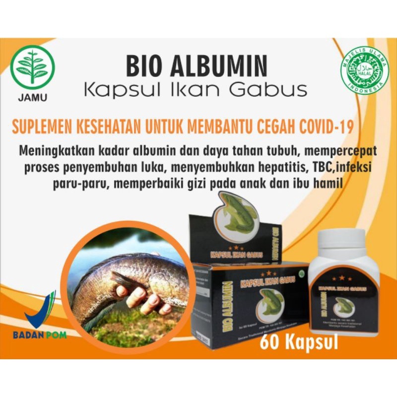 Jual Bio Albumin Kapsul Ikan Gabus 60 kapsul | Shopee Indonesia