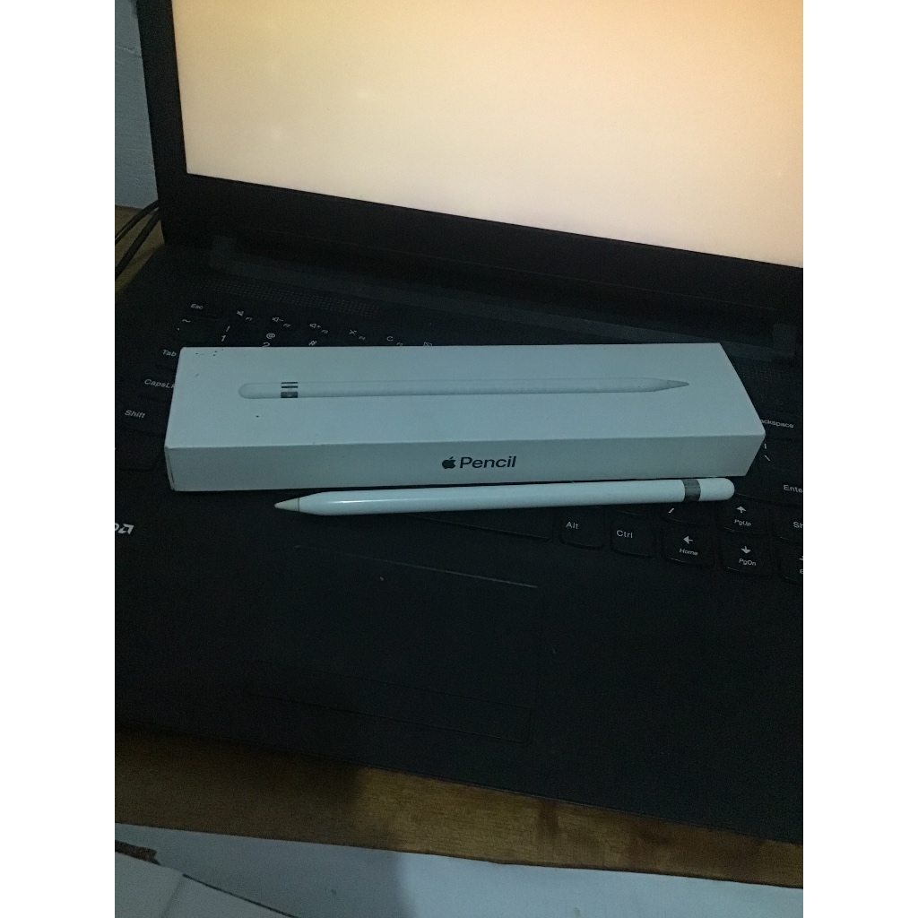 Jual Apple Pencil 1st Generation (SECOND) | Shopee Indonesia