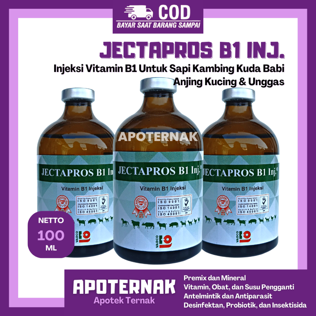 Jual JECTAPROS B1 100ml - Vitamin B1 Injeksi Untuk Hewan Sapi Kambing ...
