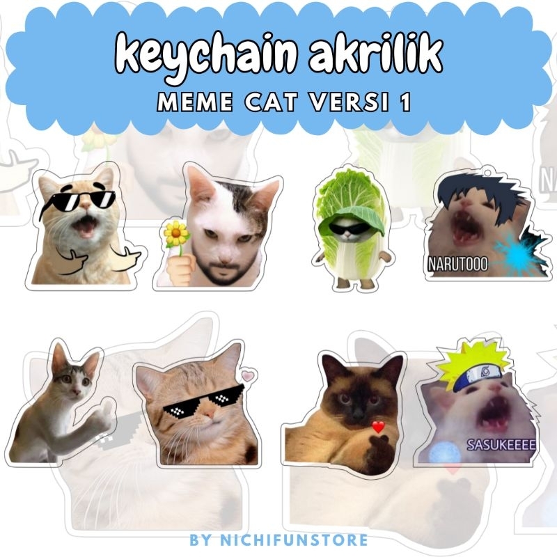 Jual [MEME CAT VER. 1] KEYCHAIN AKRILIK / GANTUNGAN KUNCI AKRILIK ...