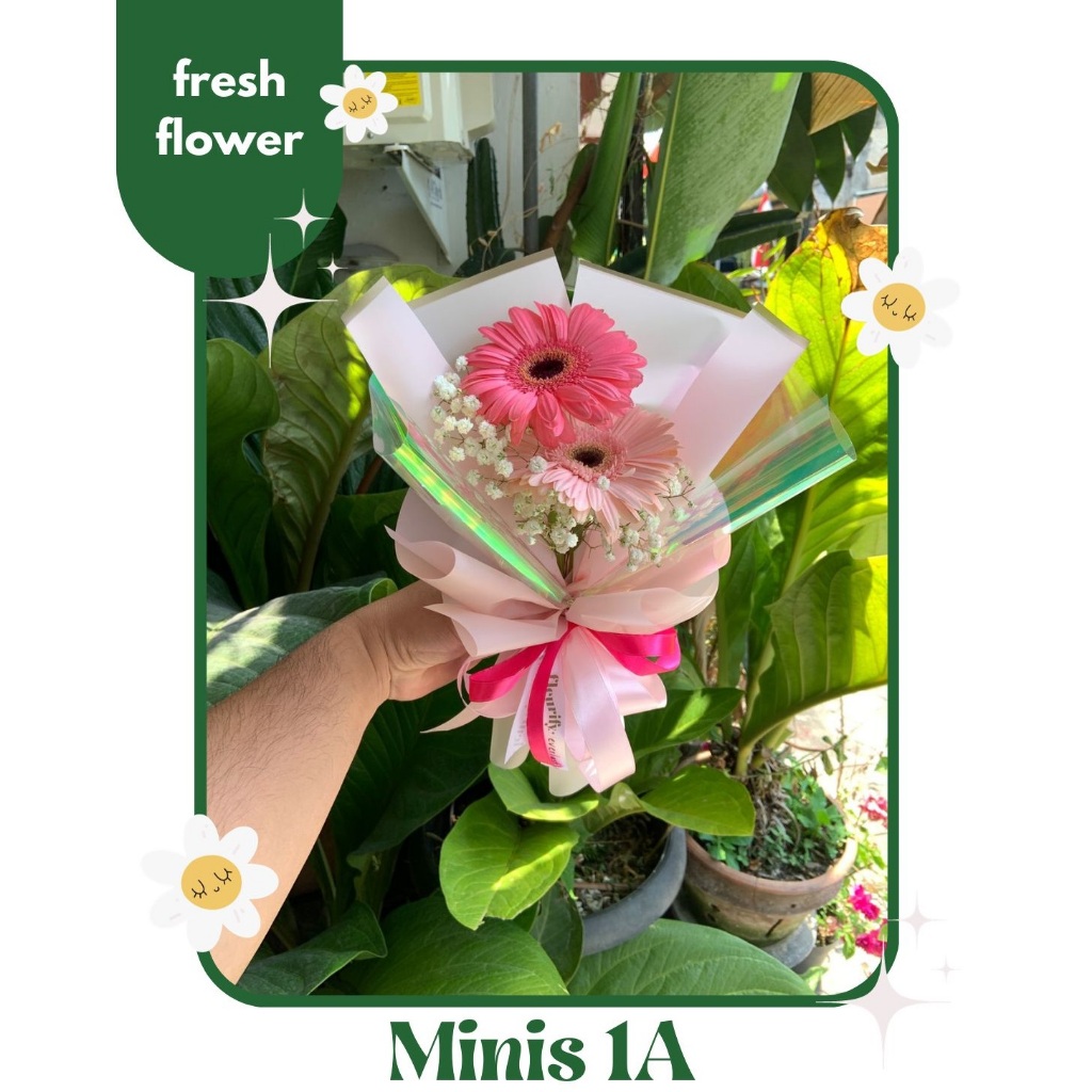 Jual Buket Bunga Segar Jogja - Minis Series Vol.1 Fresh Flowers ...