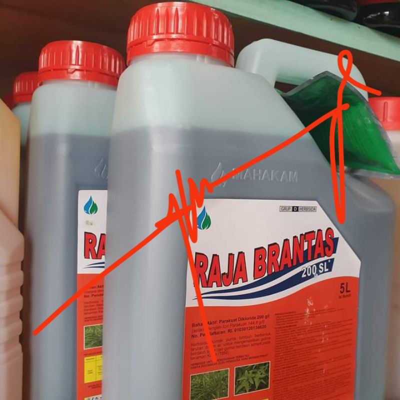 Jual RAJA BRANTAS 200 SLl 5L Herbisida Kontak Rumput Mati Cepat ...