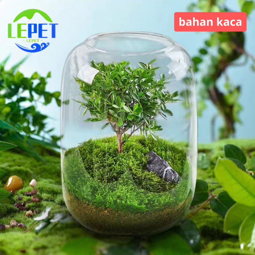 Jual LEPET AQUARIUM MINI KECIL A19 / AKUARIUM IKAN CUPANG HIAS / KURA ...