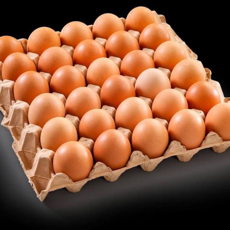 Jual Telur Omega 3 - 1 Tray (isi 30 butir) | Shopee Indonesia