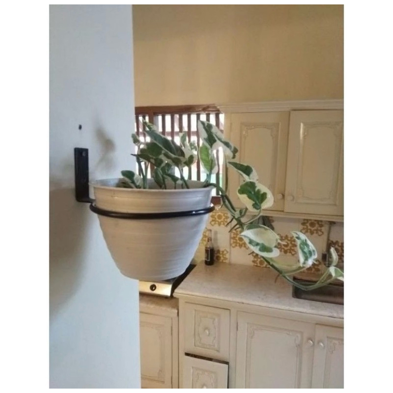 Jual Standing POT Tempel Dinding (1kg = 5pcs) | Shopee Indonesia