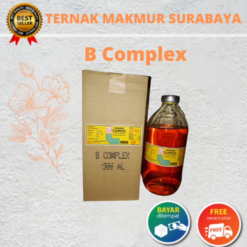 Jual Vitamin B Complex Wonder 500ml | Shopee Indonesia