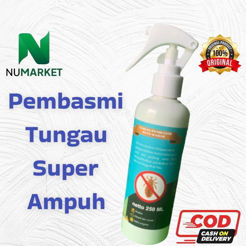 Jual BASSPRO Cairan Pembasmi Kutu Kasur,sofa,Kursi,Matras,Tungau ...