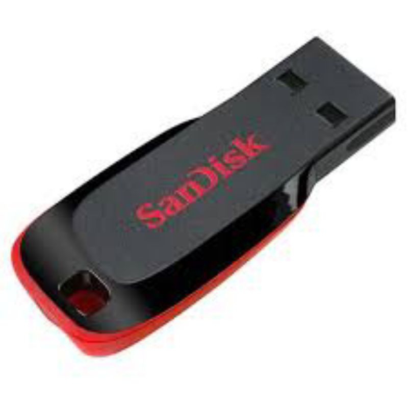 Jual CUSTOM ORDER FLASHDISK 10 Kg | Shopee Indonesia